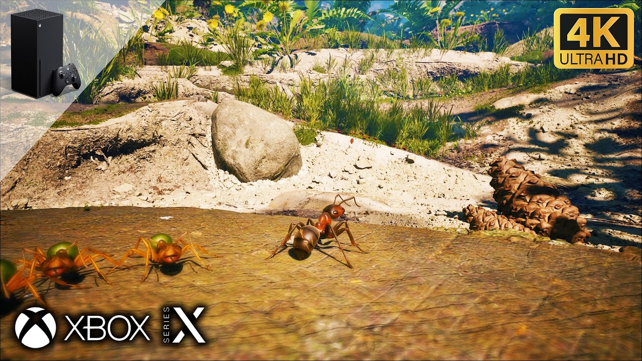 Empire of the Ants Demo - Xbox Series X Gameplay 4K - YouTube