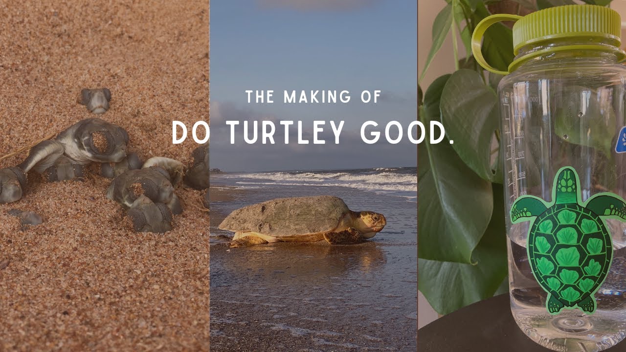 STICKERS to help SEA TURTLES // Do Turtley Good. - YouTube