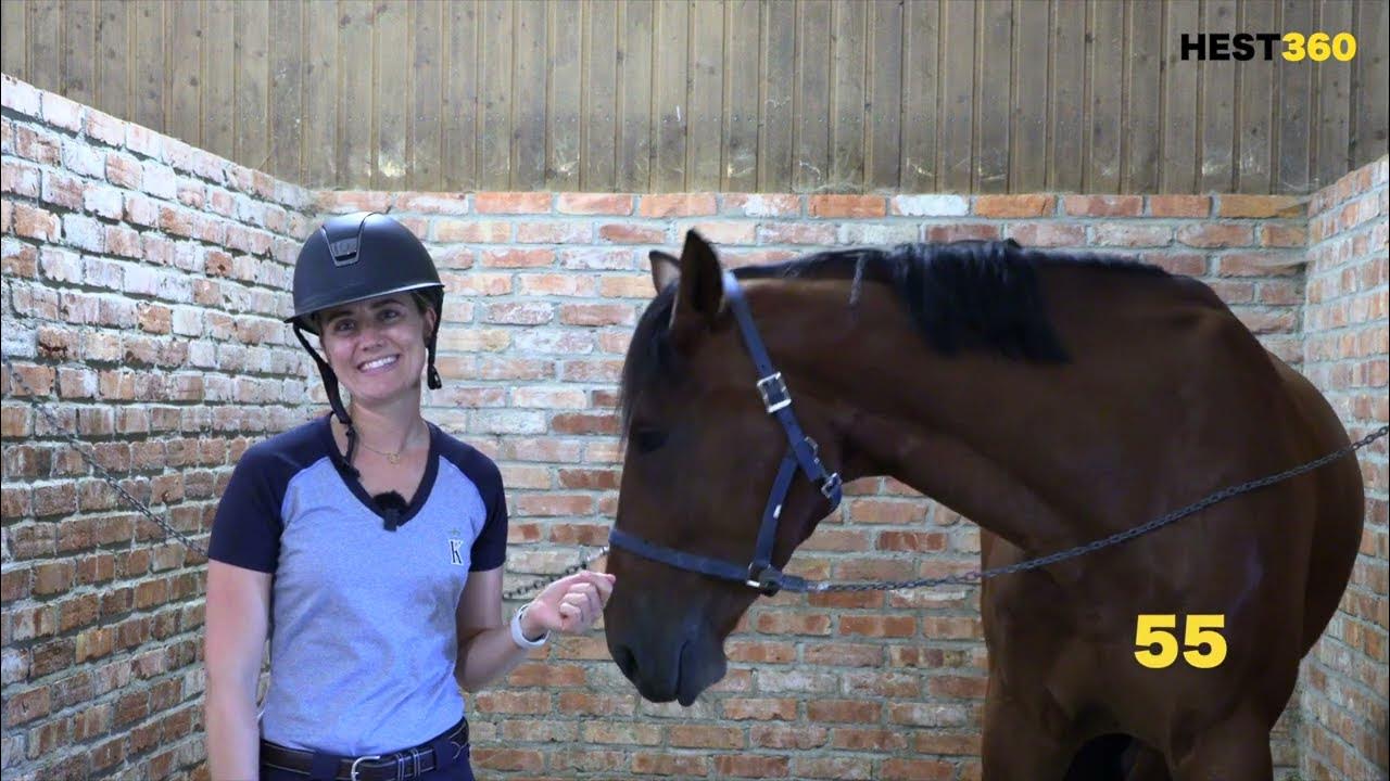 Camilla Storemark | 50 spørsmål S7E17 - YouTube