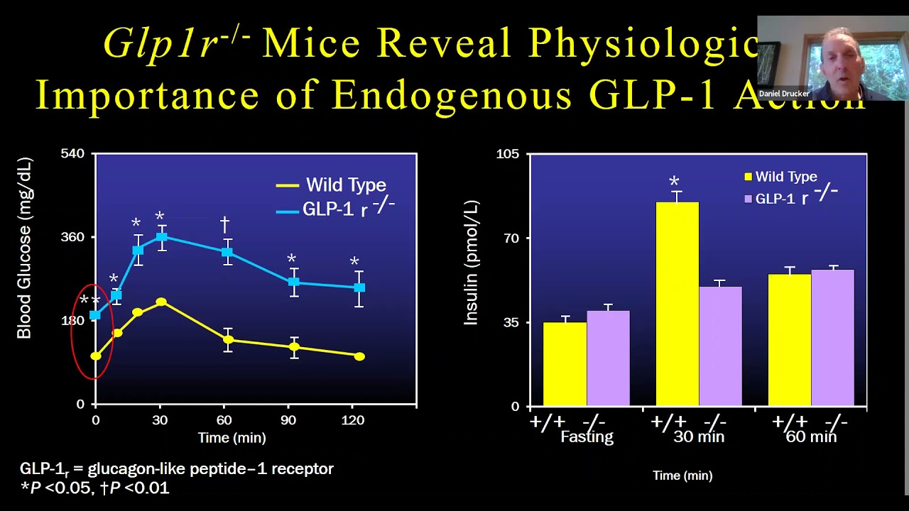 The Gairdner Foundation Award Lecture 2021 Daniel J Drucker - YouTube