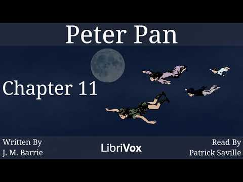 Peter Pan Audiobook Chapter 11 - YouTube