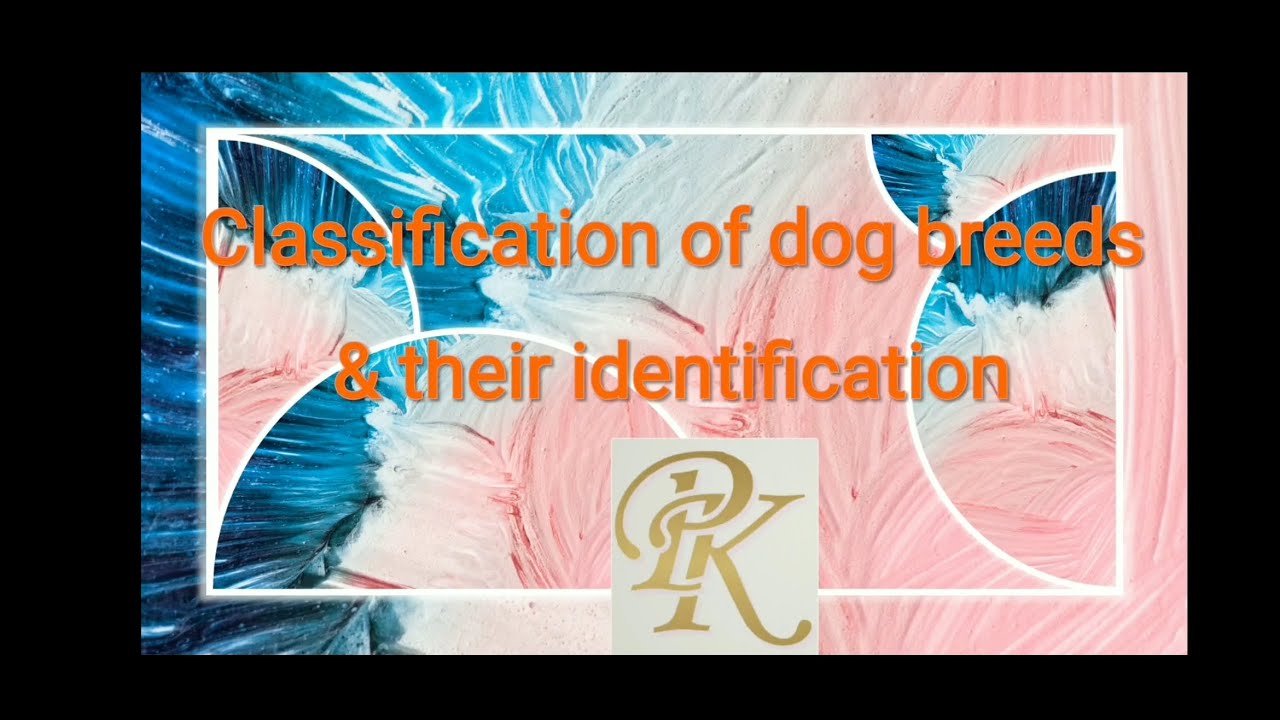 Dogs classification & identification of Dogs by their characteristic ...