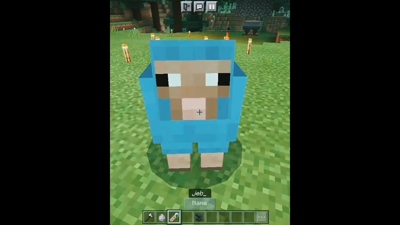 How To Make | RGB | Sheep In Minecraft #shorts #minecraft - YouTube