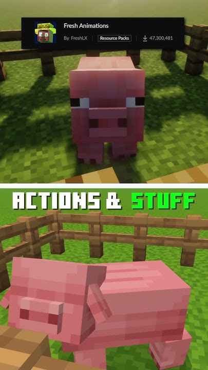 Minecraft Animations: Fresh Animations (Java) VS Actions n Stuff 1.4 ...