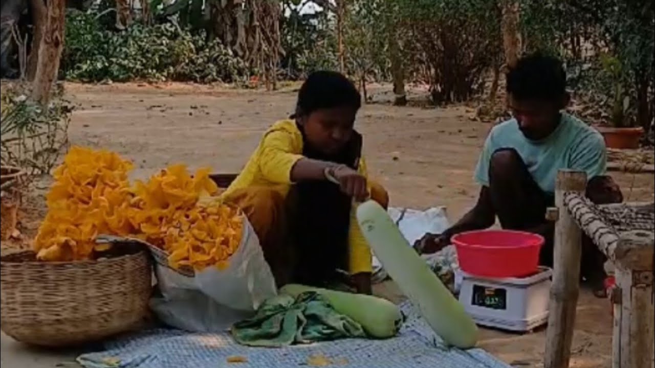 Village Life Cooking Eating Pumpkin Leaf Flowers Kaddu Goes To Market ...