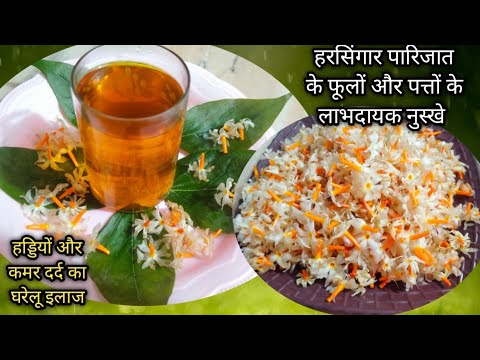 कमर दर्द और हड्डियों के लिए लाभदायक हरसिंगार पारिजात के फूलों का पानी ...