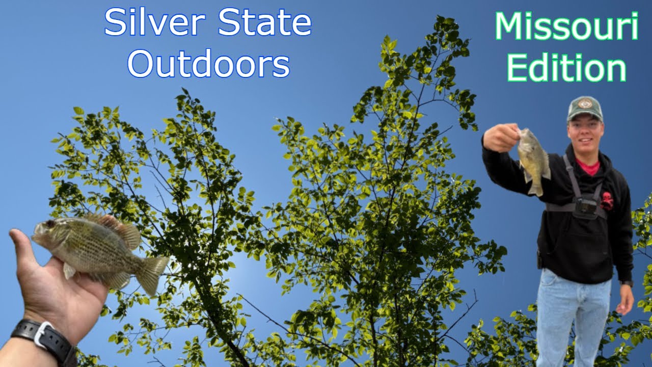 Missouri Fishing Ep 1 + (chasing the elusive goldfish!) - YouTube