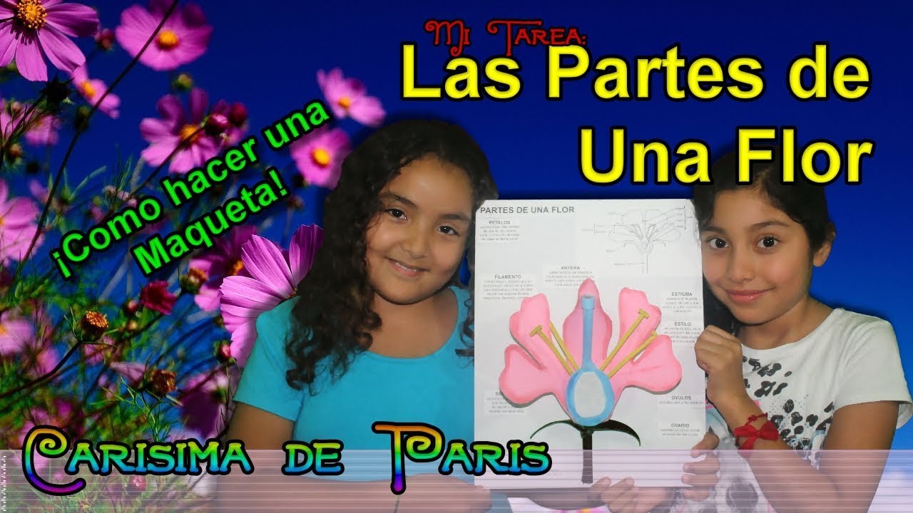 Tip: Partes de la Flor (como hacer Maqueta) - YouTube