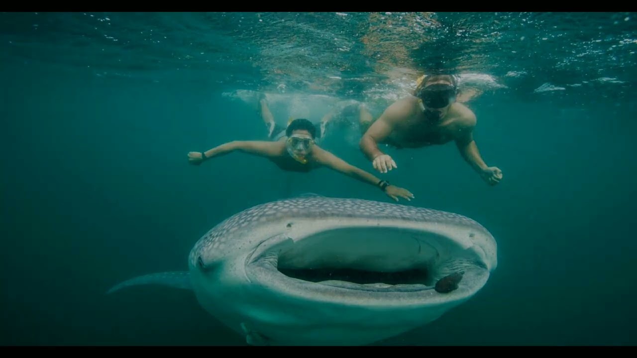 Galeophobia images with creepy Minecraft ambience - YouTube