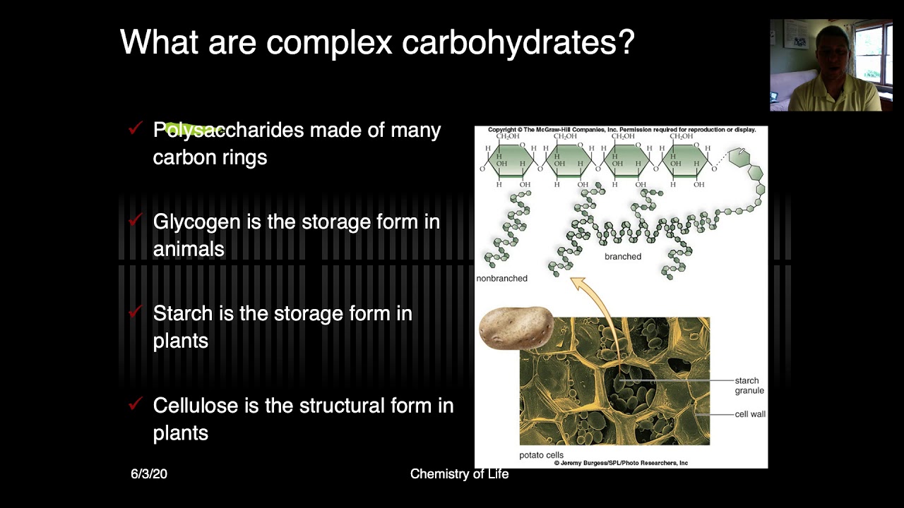 Human Biology The Chemistry of Life B - YouTube