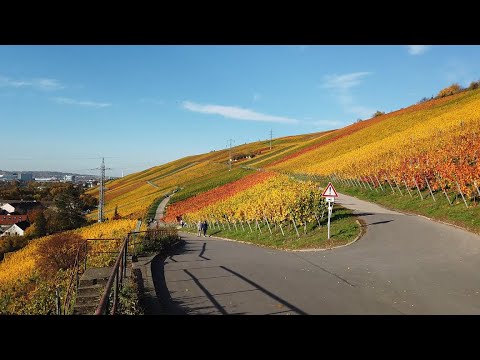 Son Bahar Manzaralari Almanya