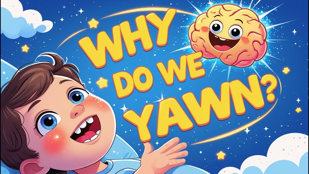 Why Do We Yawn Fun Body Facts for Kids! - YouTube