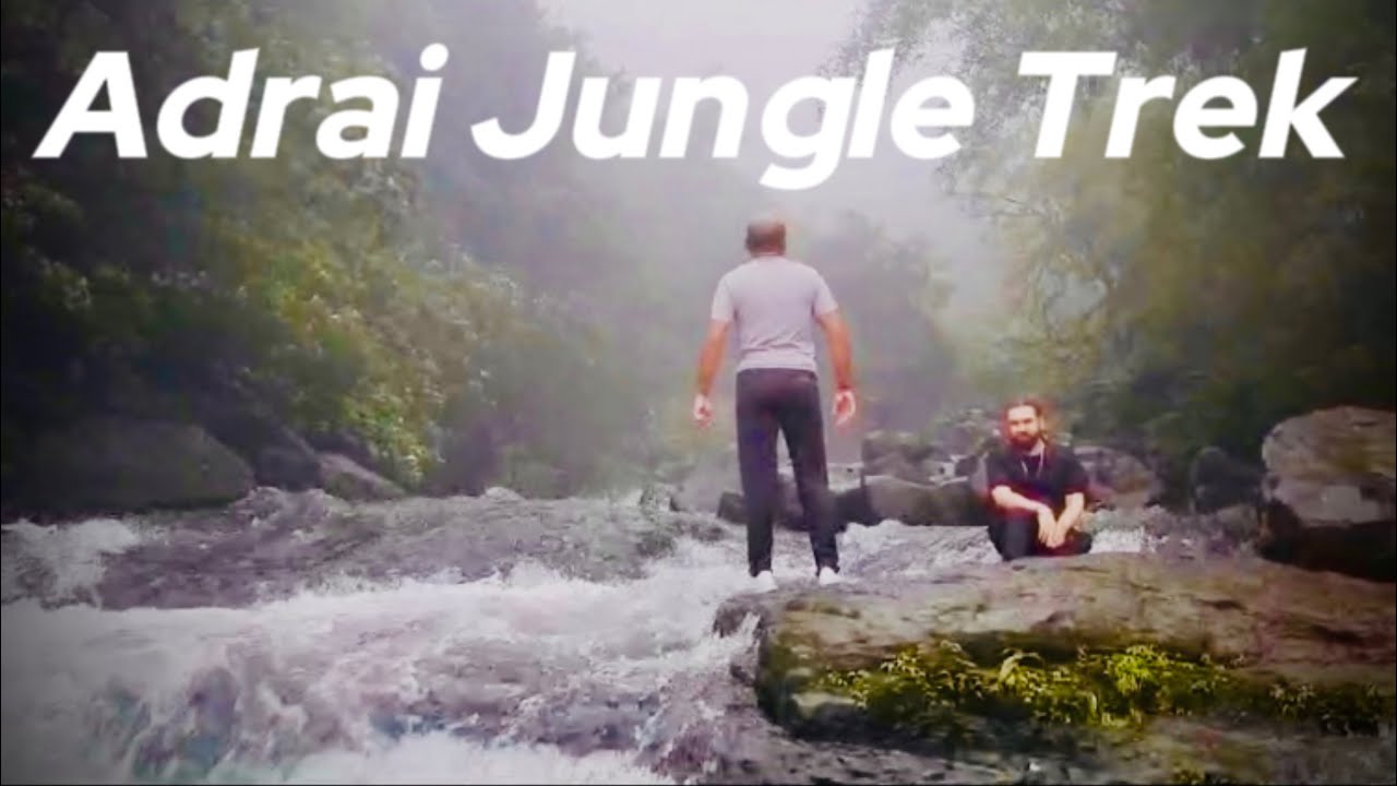 "Adrai Jungle Trek, Malshej Ghat, district Pune, Maharashta: Unleash ...