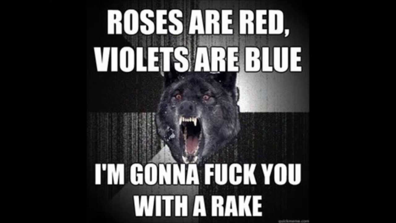 Courage Wolf, Insanity Wolf, and Advice Dog compilation - YouTube