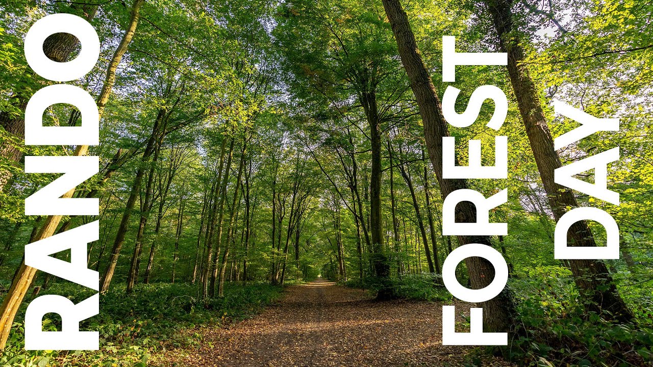 Forest day - Amiens - Sony a7III + Atomos Shinobi - YouTube