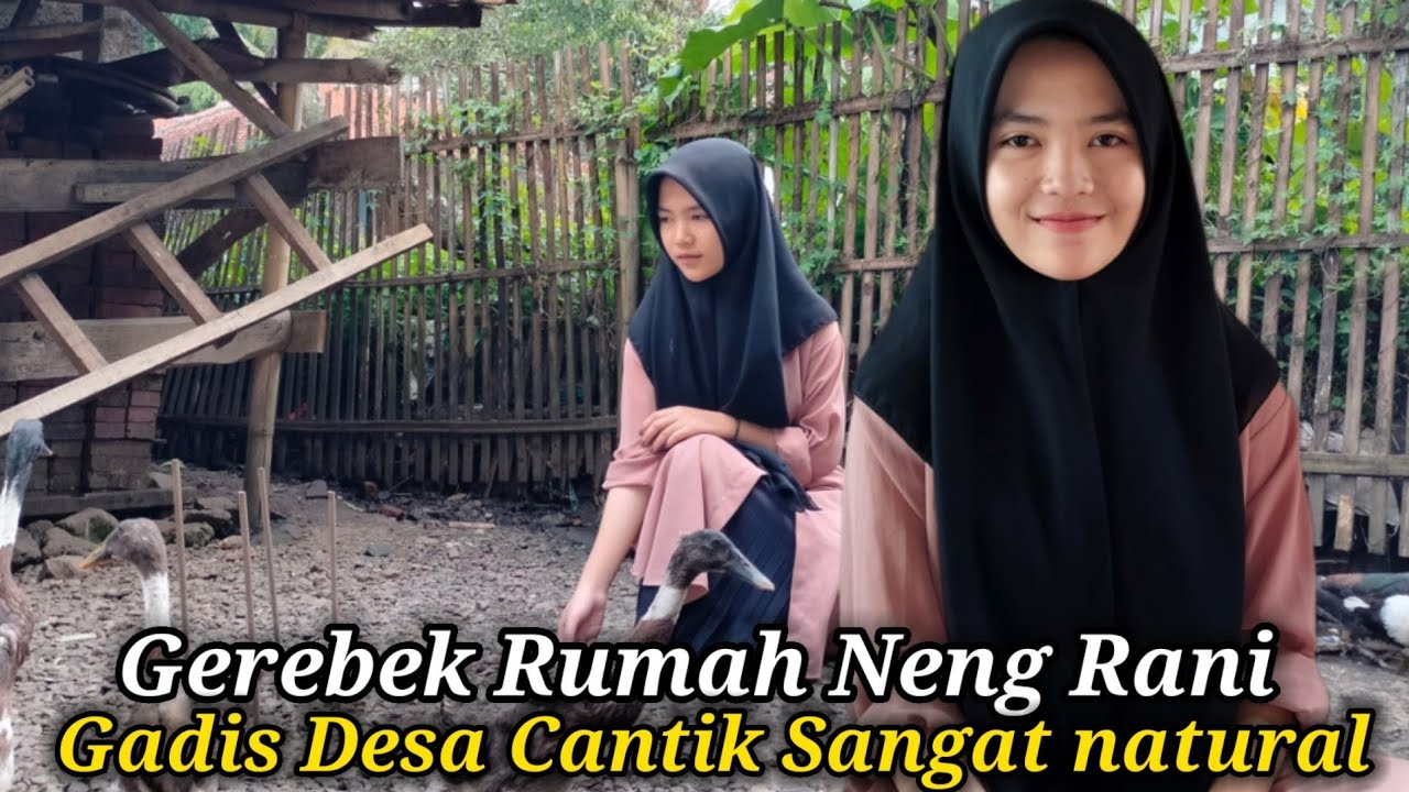 Gerebek rumah neng rani gadis desa cantik yang cantiknya natural bikin hati meleleh - YouTube