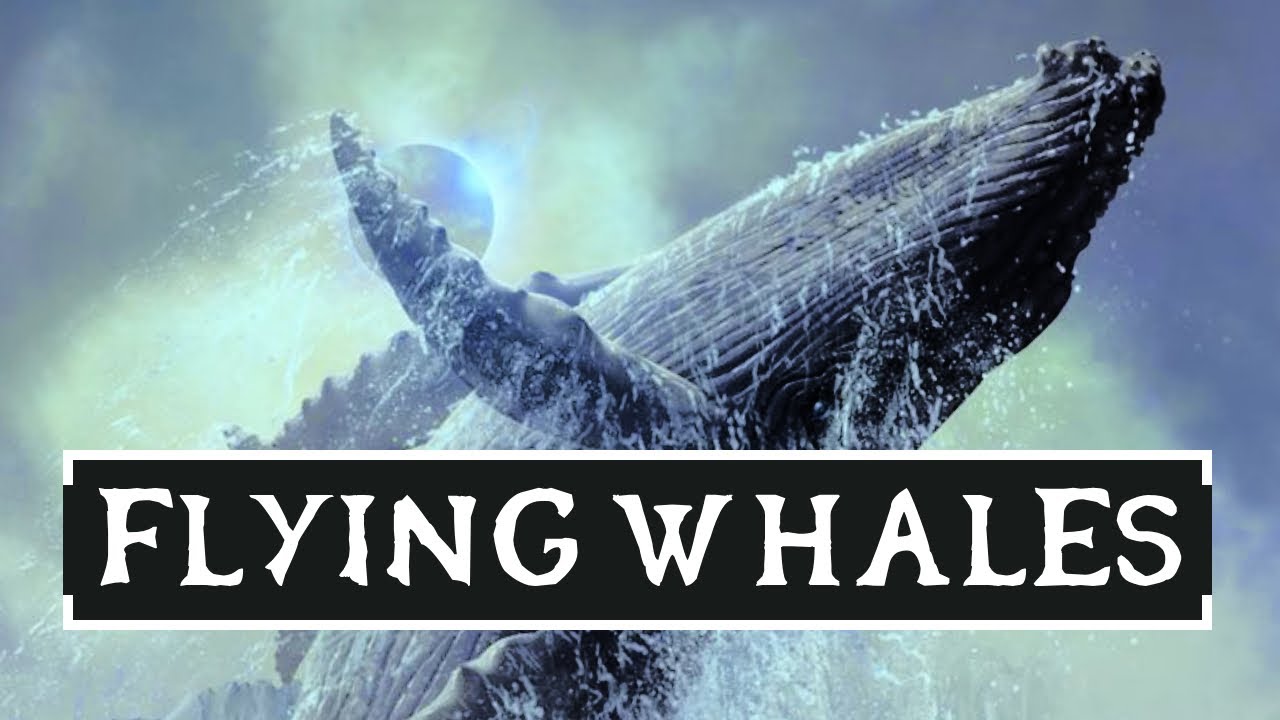 The Flying Whales of Skyrim | Elder Scrolls Lore - YouTube