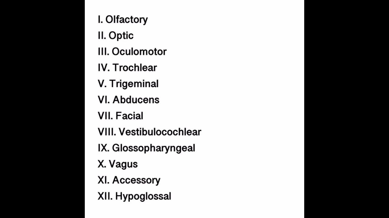 Memorize The 12 Cranial Nerve Names - YouTube