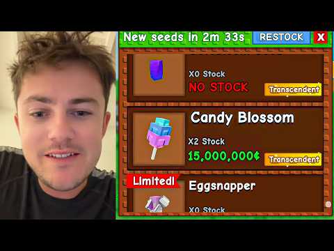 CANDY BLOSSOM IS BACK (GROW A GARDEN)