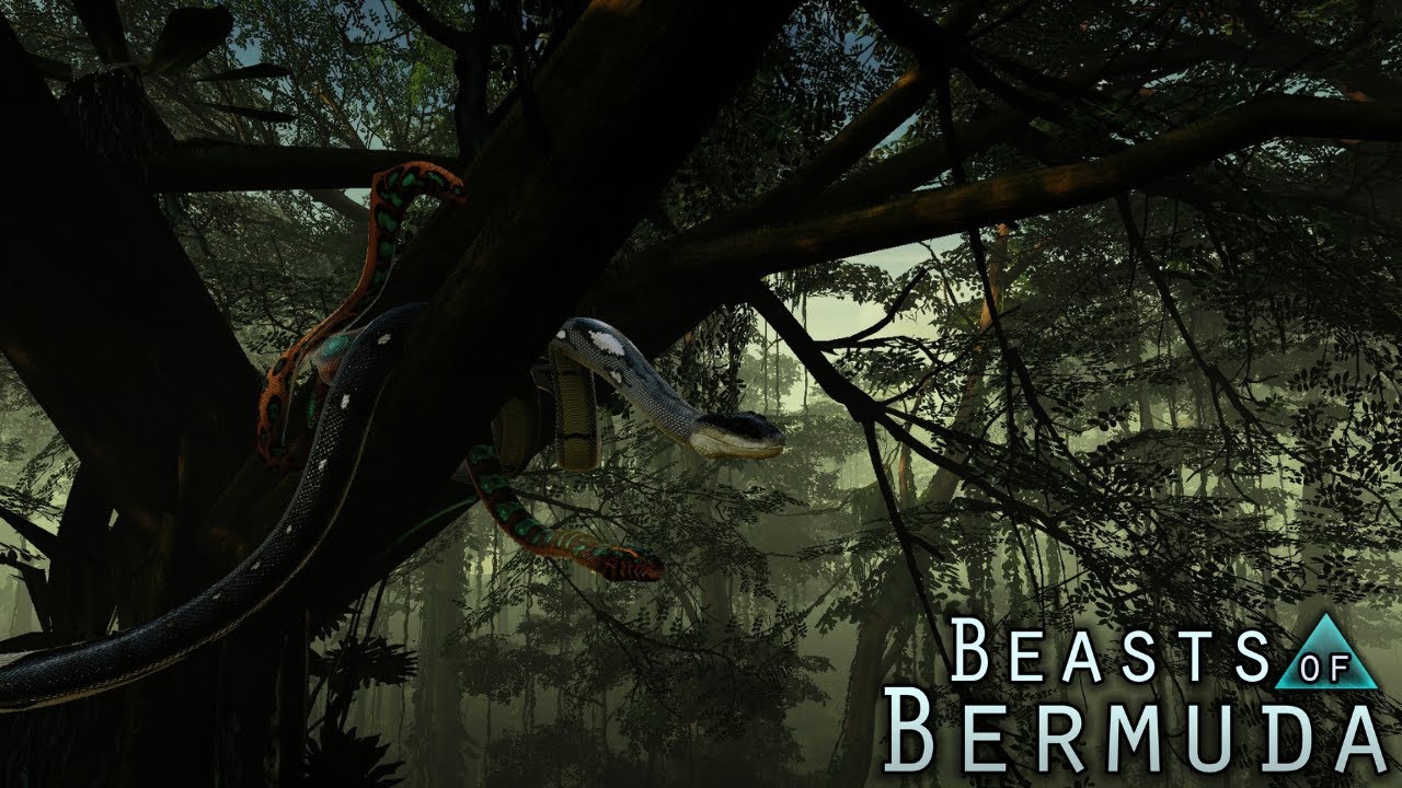 Beasts Of Bermuda Giant Snake: The Legend of Palaeophis - YouTube