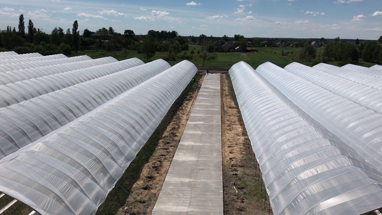 Ukraina 10ha - truskawki www.stanflex.pl - YouTube