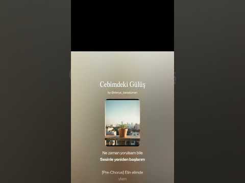 Cebimdeki gülüş ilk deneme 
