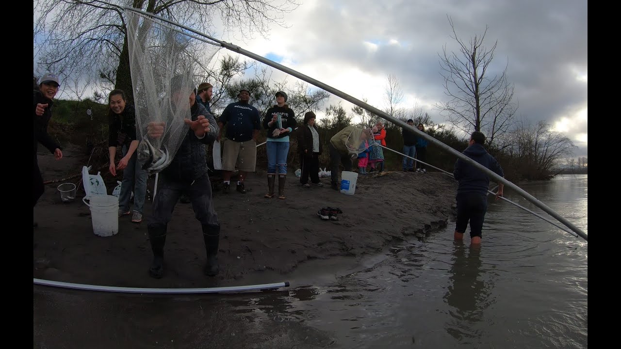 Smelt dipping/netting 2/14/2020. - YouTube