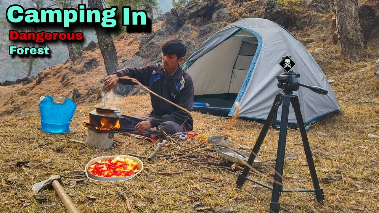 Camping In forest | Dangerous forest camping | Forest Camping | Junior ...