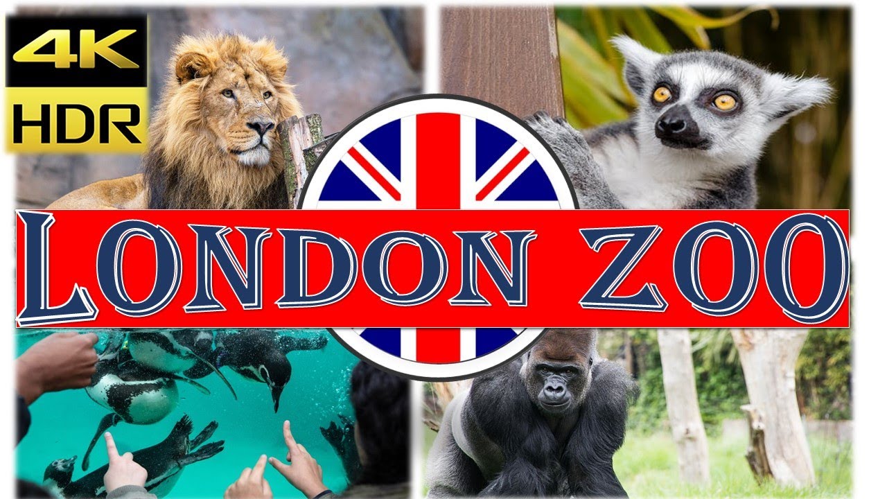 LONDON ZOO | Worlds oldest zoo | 10 facts about London zoo | Complete ...