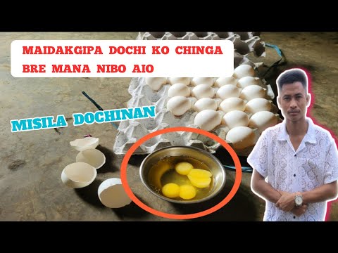 Dochi duplicate paltu dochi simsake brebo birimit ronggni ka•e dong•a || Prove baksa video