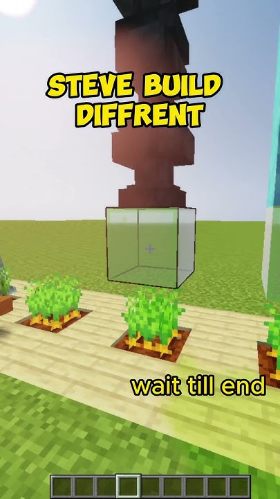 Minecraft Steve Build Diffrent - YouTube