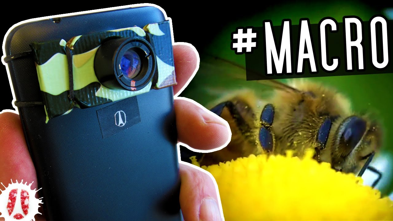 INTO THE WILD! Testing Our DIY Macro Lens For Smartphone: Close-Up ...