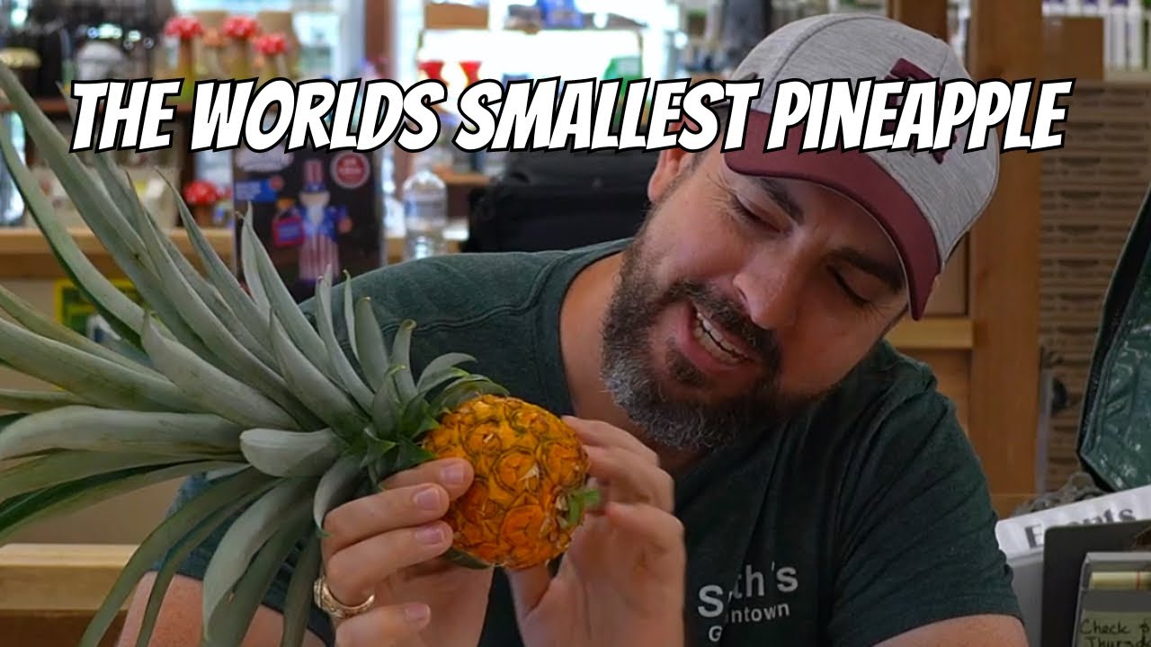 The Worlds Smallest Pineapple - YouTube