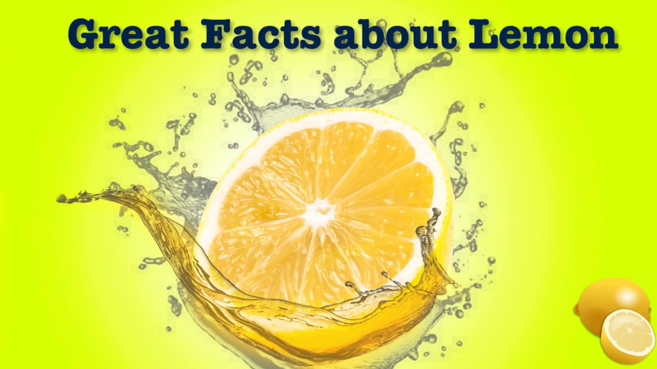 Facts About Lemon - YouTube
