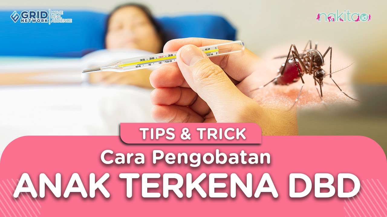 Anak Alami DBD? Ini Cara Pengobatan yang Perlu Moms Ketahui - YouTube