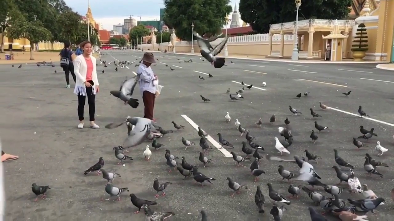 Heak Movie - YouTube