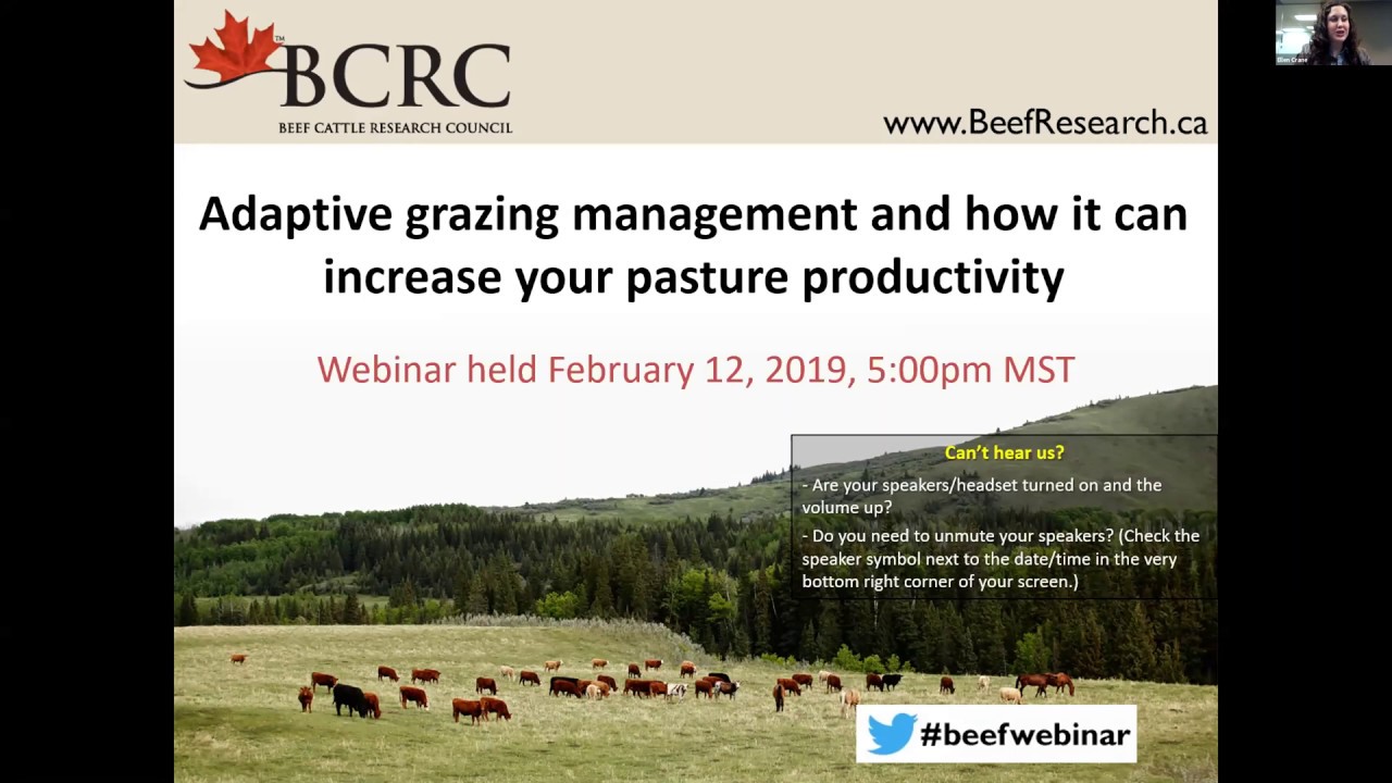 Adaptive Grazing and Grazing Management Webinar - YouTube