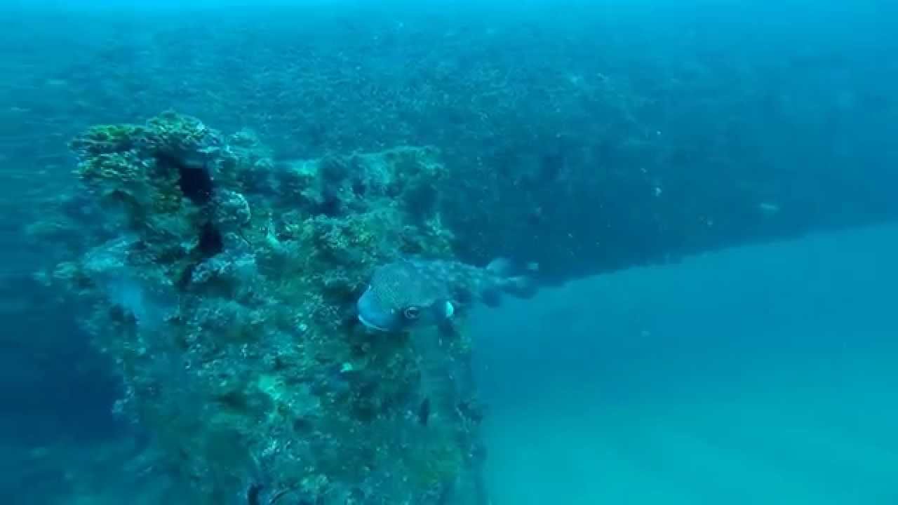 Freediving platform 23 - YouTube
