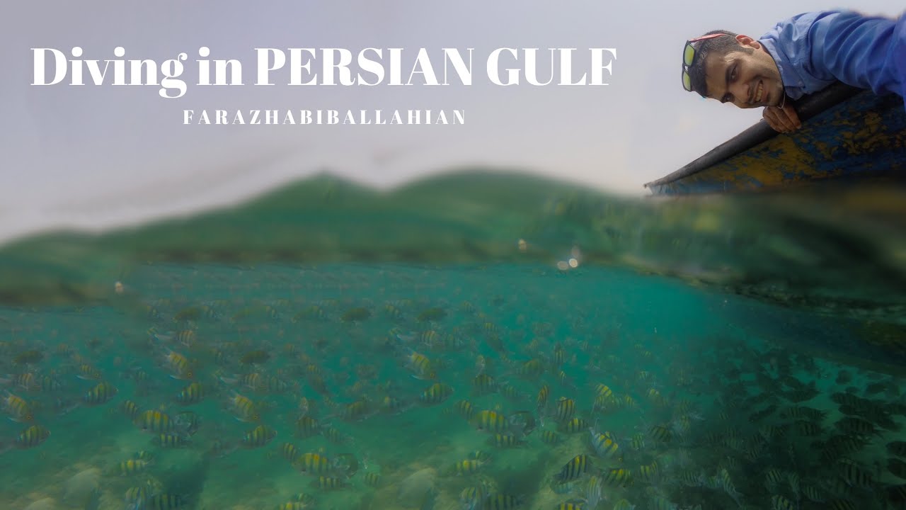 Diving in PERSIAN GULF ( Beauty of Iran ) - YouTube