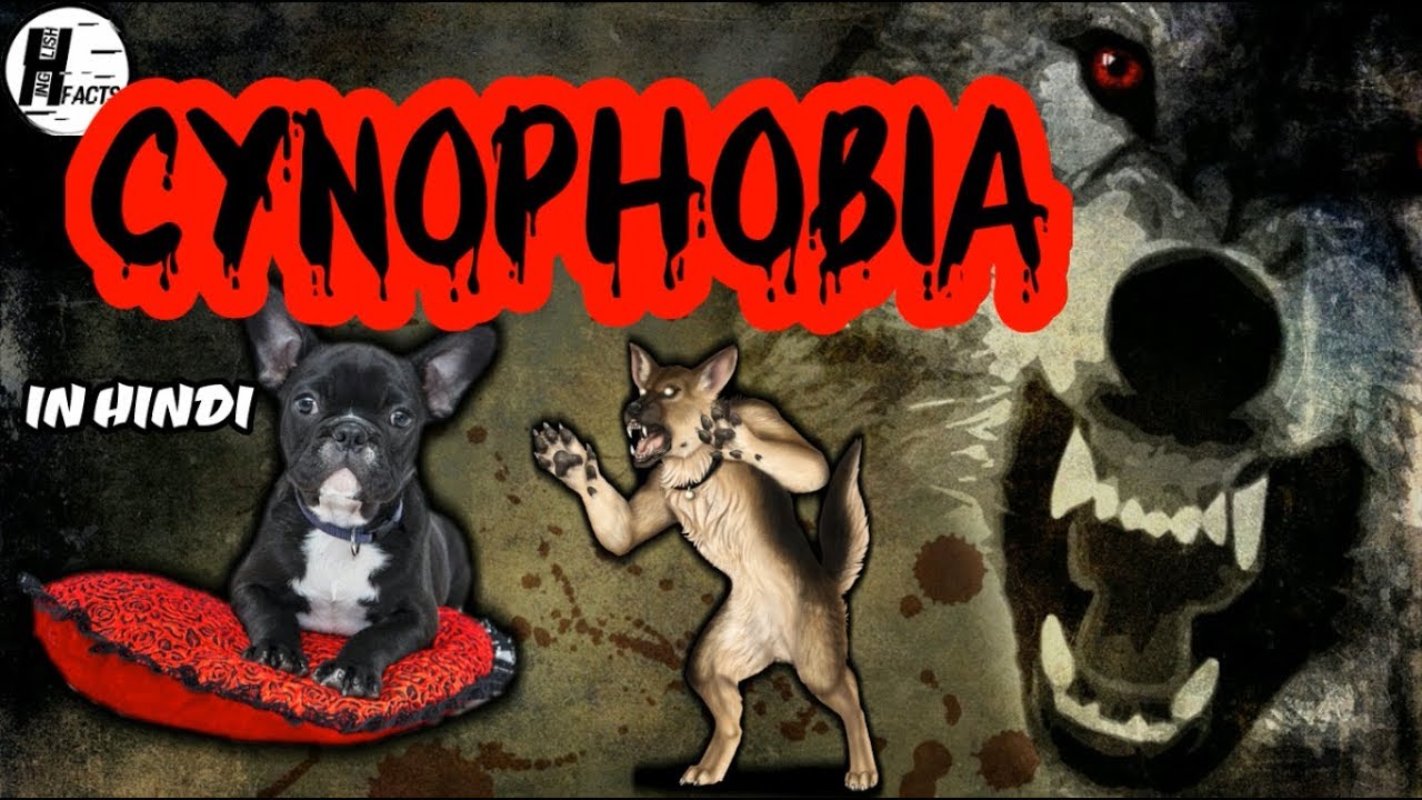 Cynophobia