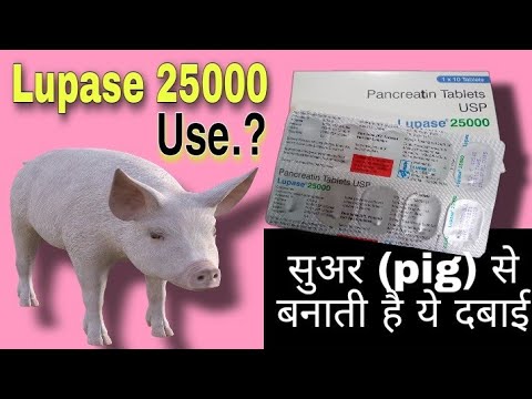 Lupase 25000 usage in Hindi || Creon Tablet benefits and side effects ...