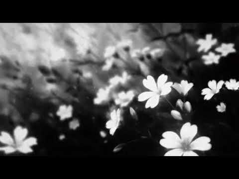 🇦🇿 Nigar Jamal ft. ELDAR — 10 İl Sonra slowed reverb [AZ]