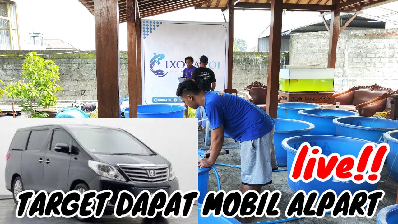 GAK NYANGKA‼️ TARGET KALIAN HARUS DAPATKAN MOBIL TOYOTA ALPART SECARA ...