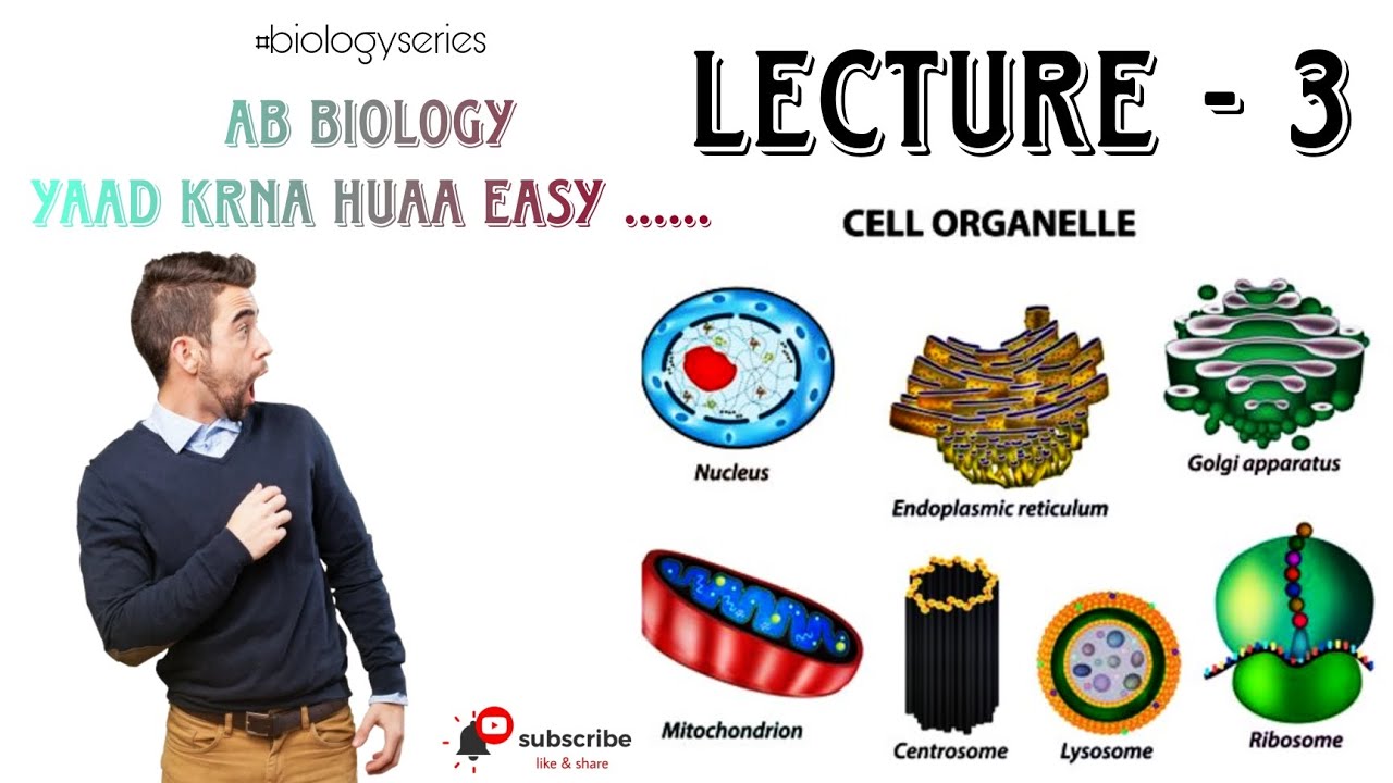Biology ( lecture 3 ) Cell organelles #biology #video - YouTube