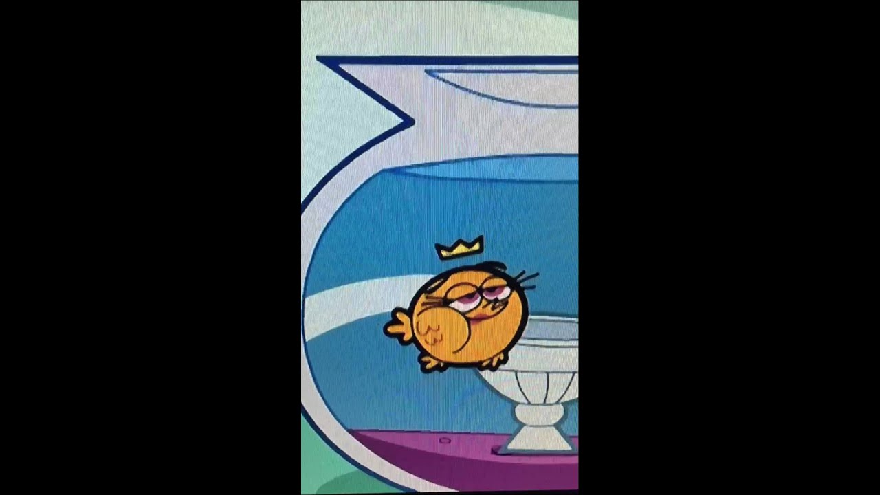 fairly goldfish wanda big burp - YouTube