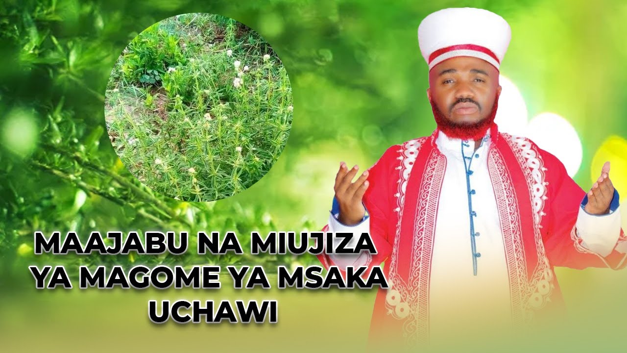 MAAJABU NA MIUJIZA YA MAGOME YA MSAKA UCHAWI HUTIBU UCHAWI MASHEYTWAN ...