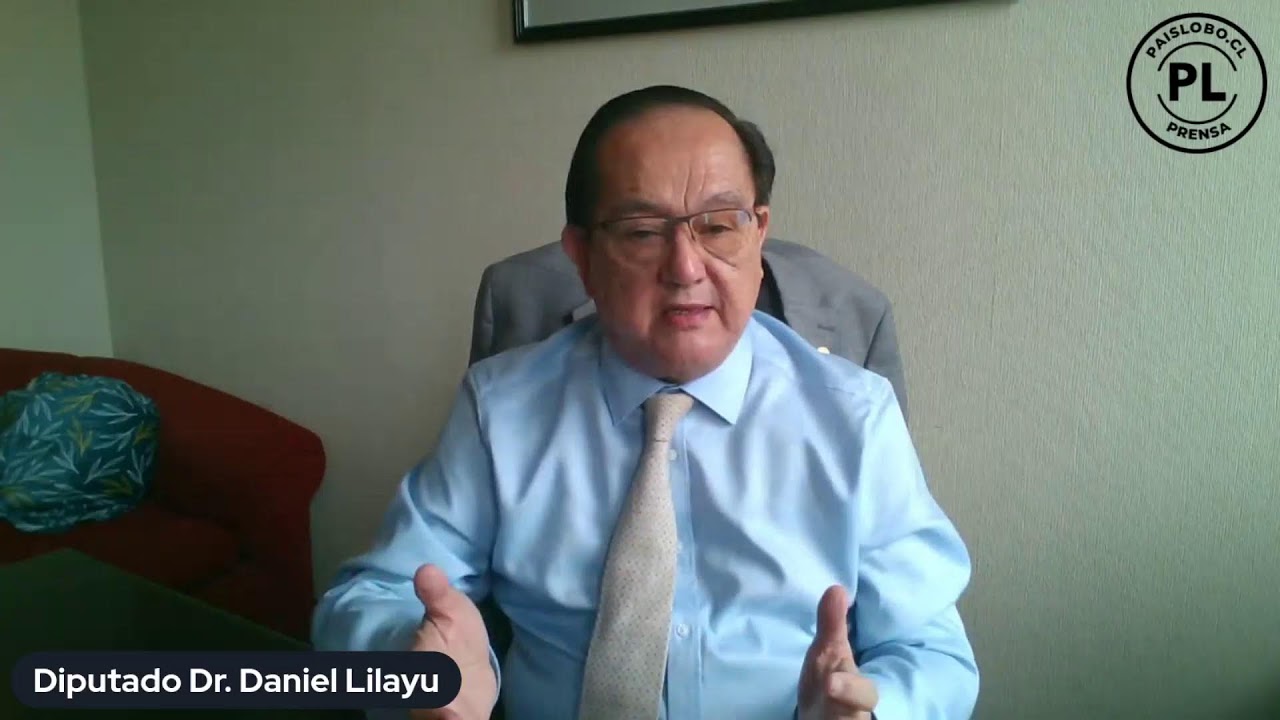 Entrevista Diputado UDI Daniel Lilayú - YouTube