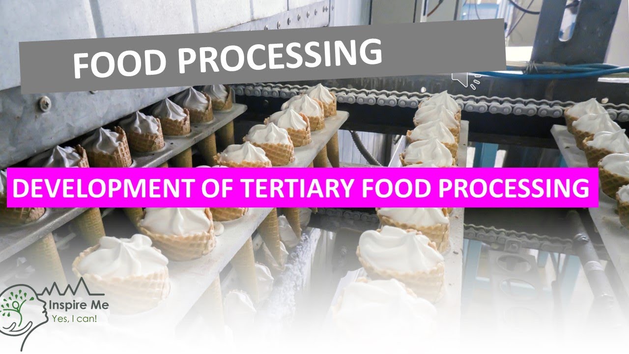 HISTORY OF TERTIARY PROCESSED FOOD - YouTube
