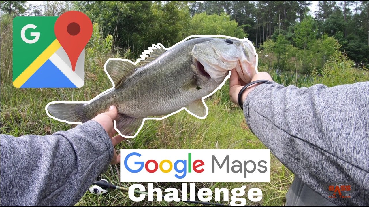Fishing New HIDDEN Ponds (Google Maps Fishing Challenge) - YouTube