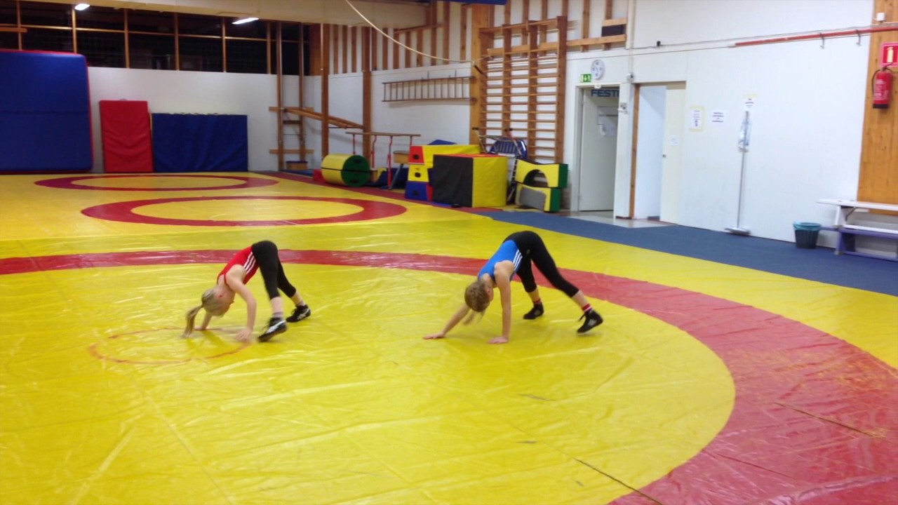 Animal movements: Bear backward - YouTube